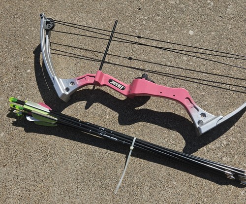 Bear Archery Brave 3 Youth Compound Bow Set with 8 Thunder Express ...