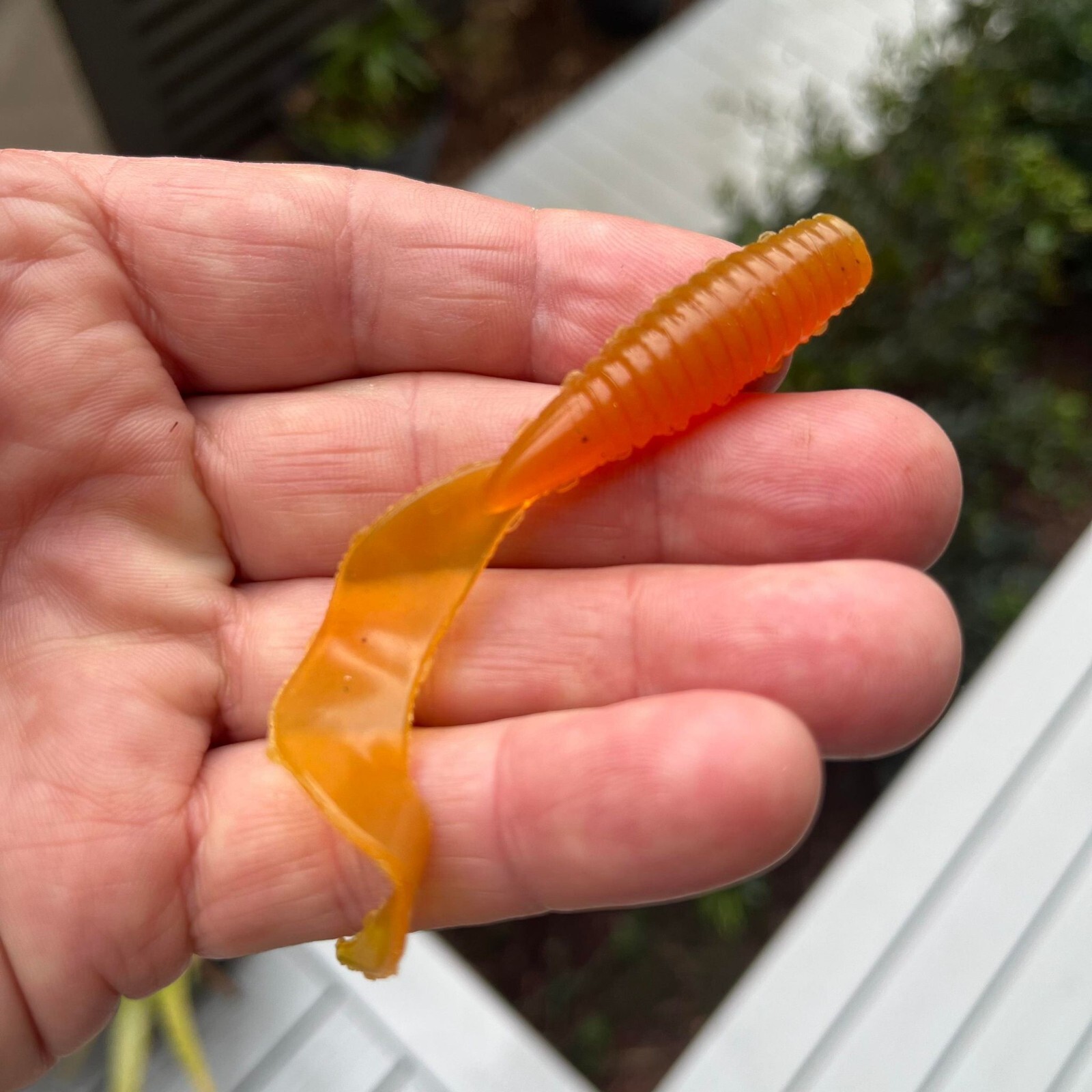 Soft Plastic Fishing Lures TPR ELASTIC Grub Curly TAIL FLATHEAD Bass ...