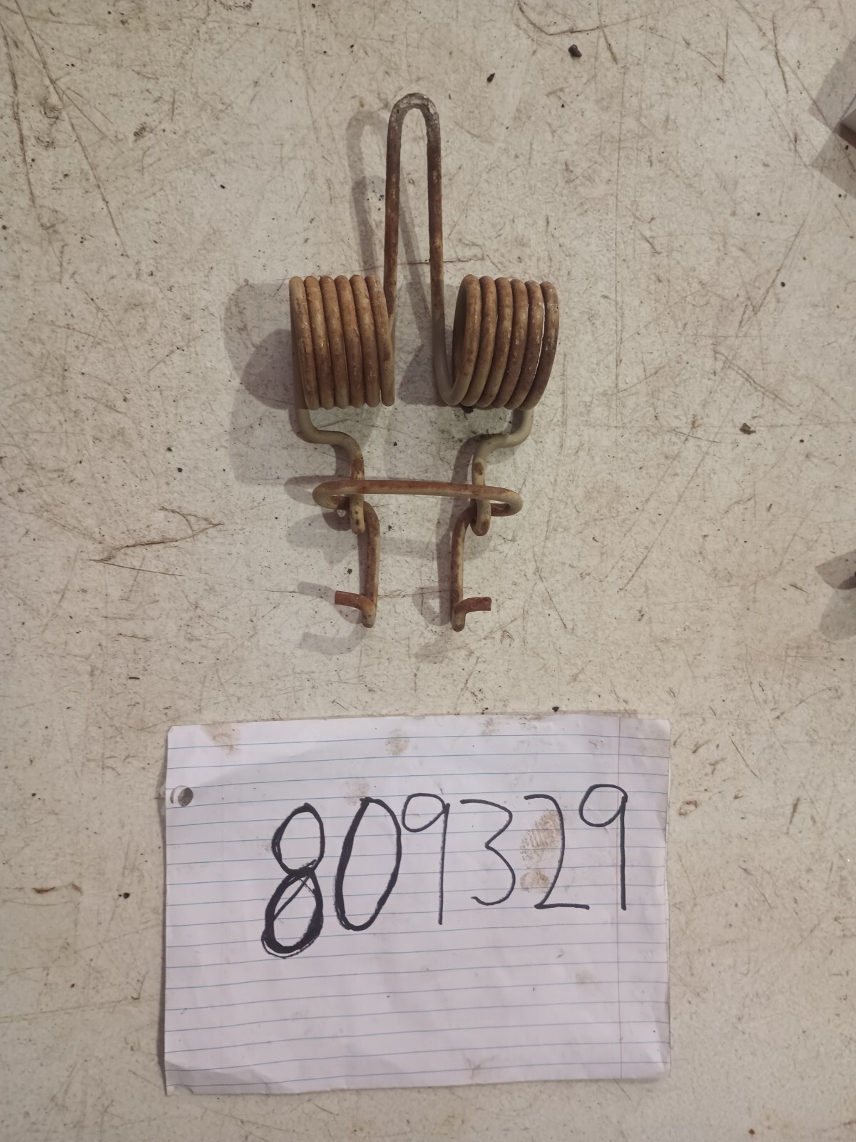 1965-1979 VW BUG Deck Lid SPRING Volkswagen Beetle Rear Engine German ...