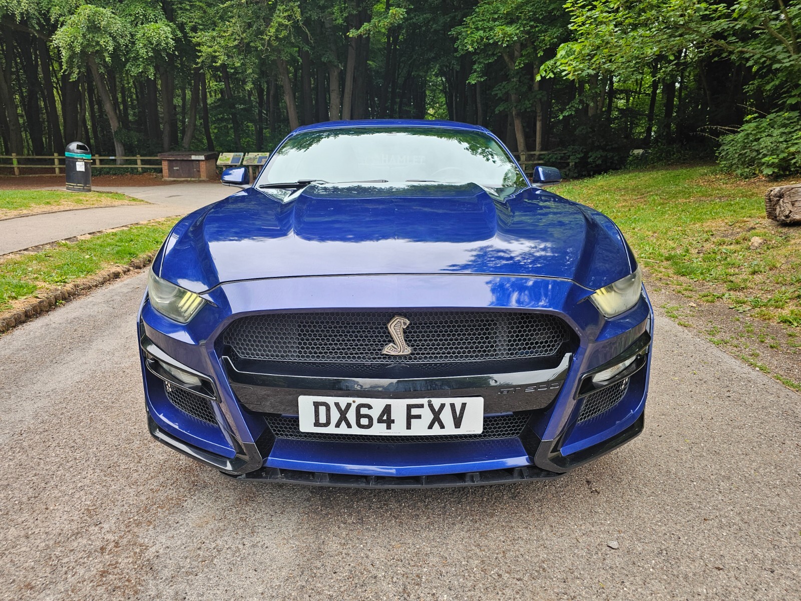 2011 Ford Mustang Gt 500 Bodykit Lhd V6 Engine 3.7 Litre 55k Miles 12 ...