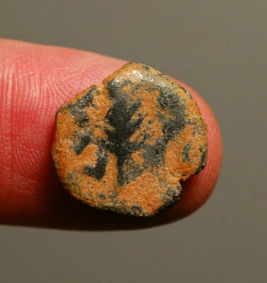 G42-14 JUDAEA, Procurators. Porcius Festus under Nero Æ Prutah ...