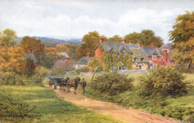 VTG 1908 ART PC "EMERY DOWN, NEW FOREST" FROM A R QUINTON W/C PAINTING ...
