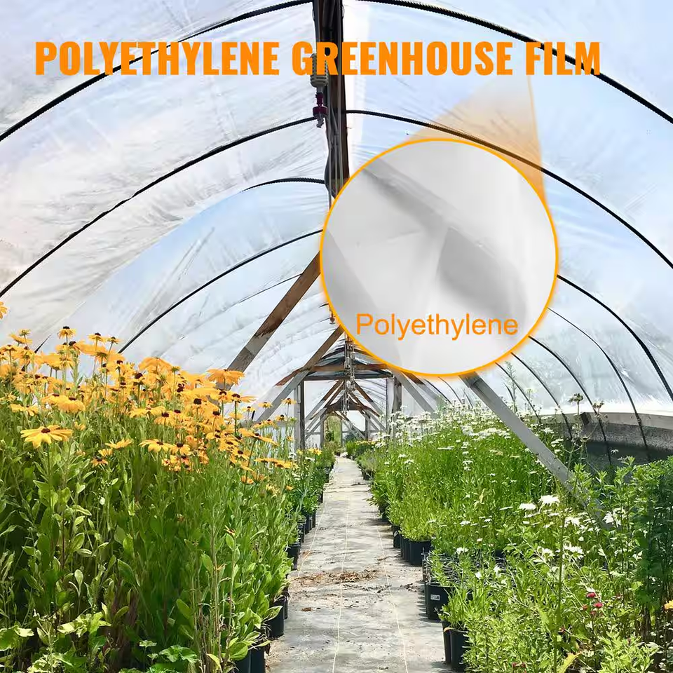 Greenhouse Polyethylene Film 32 Ft. X 25 Ft. 6 Mil Superior Toughness ...