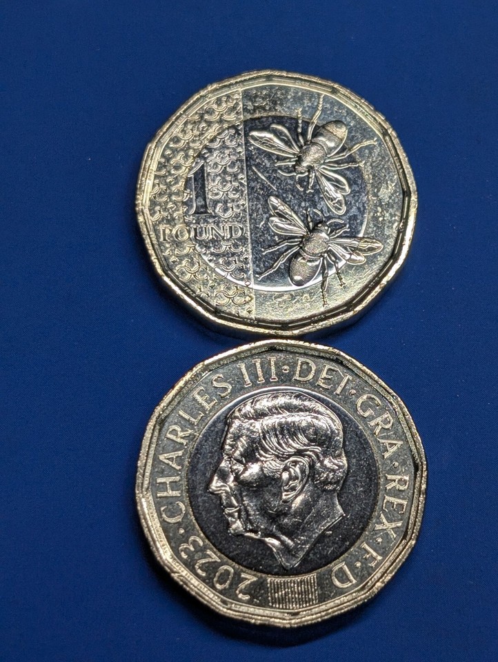 New £1 Pound BEES Coin King Charles 2023 UNCIRCULATED from sealed bag ...