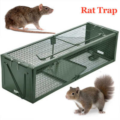 Squirrel Trap 2 Door Humane Live Mouse Bait Catcher Squirrel Bait ...