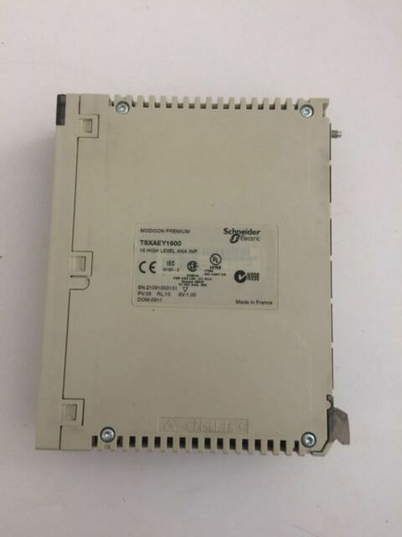Schneider Electric TSXAEY1600 Modicon Premium Analog Input Module for ...