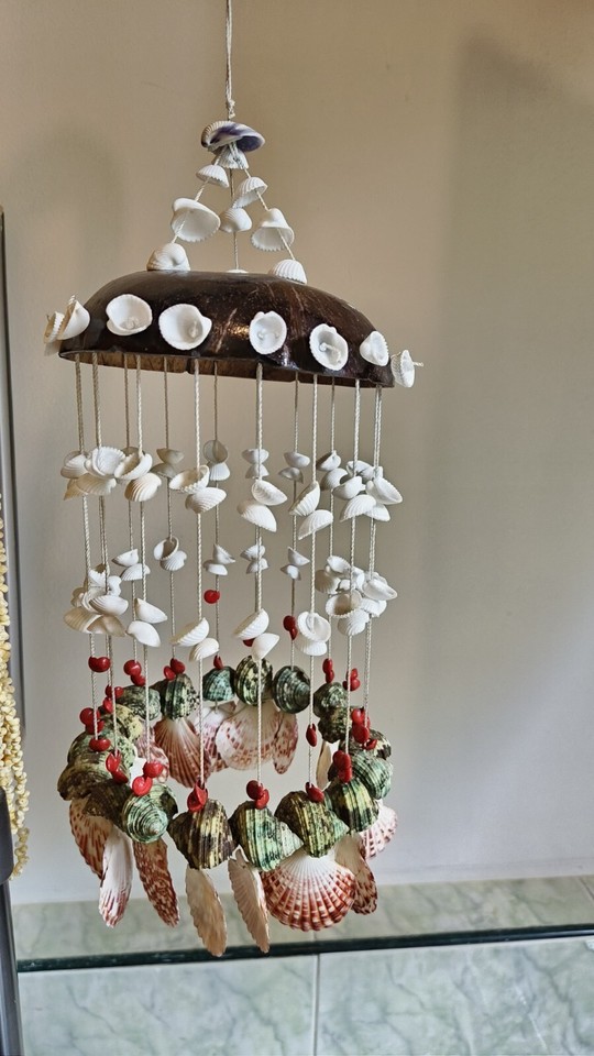Beautiful Seashells Coconut Shell Hanging Spiral Dangling Windchimes ...