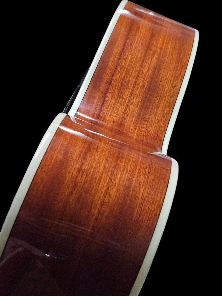 NEW GREAT PLAYING MAPLE FLAMED 12 STRING ACOUSTIC DOBRO RESONATOR ...