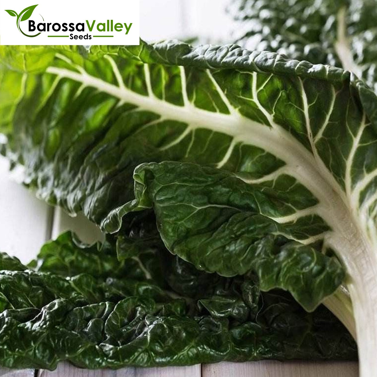SILVERBEET BARESE 55+ Seeds vegetable garden SWISS CHARD LEAF | eBay