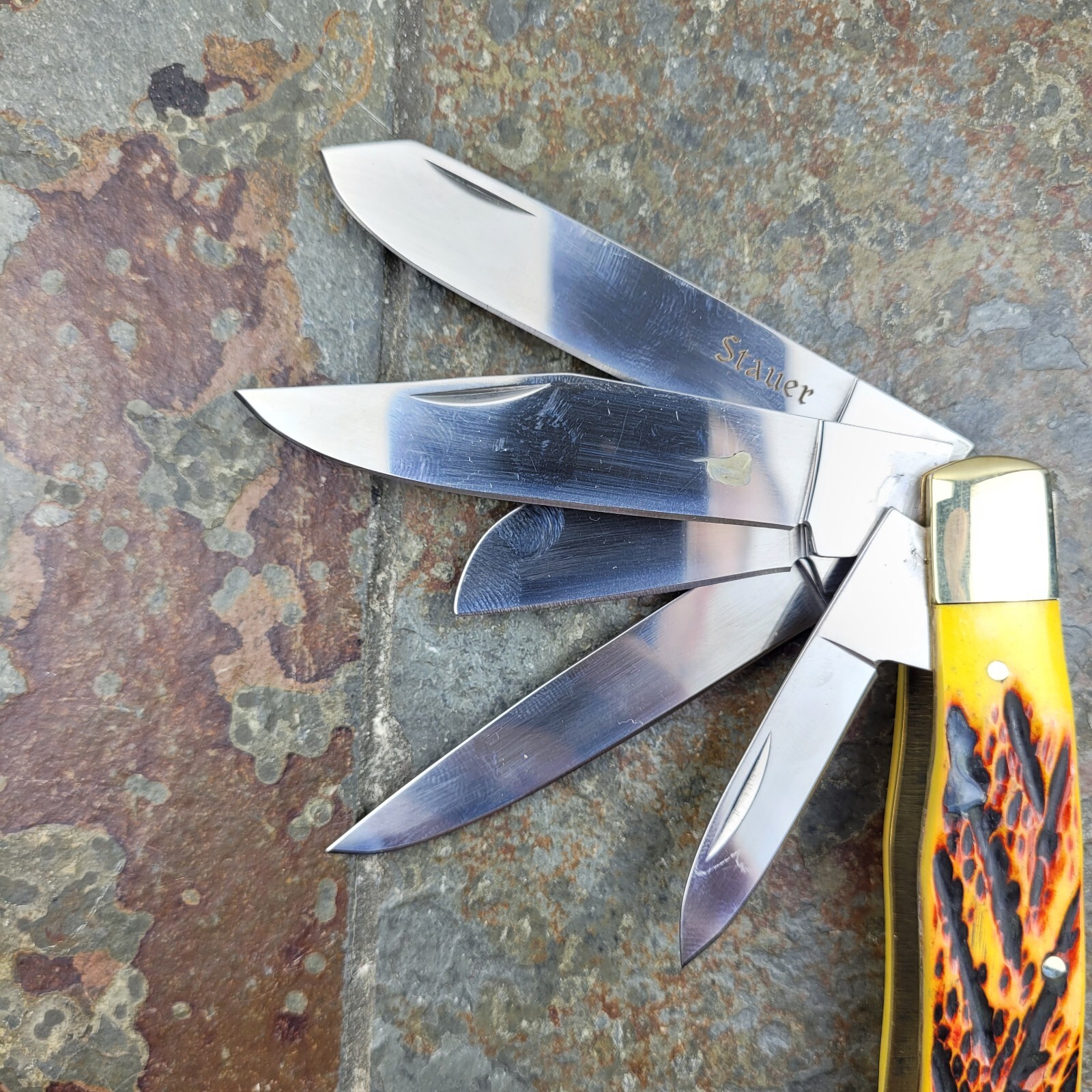 Stauer collectible 5 blade pocket knife faux bone handle | eBay