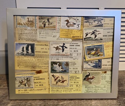 Lot Of Duck Stamps And Hunting/ Fishing Permit Licenses !!! | eBay