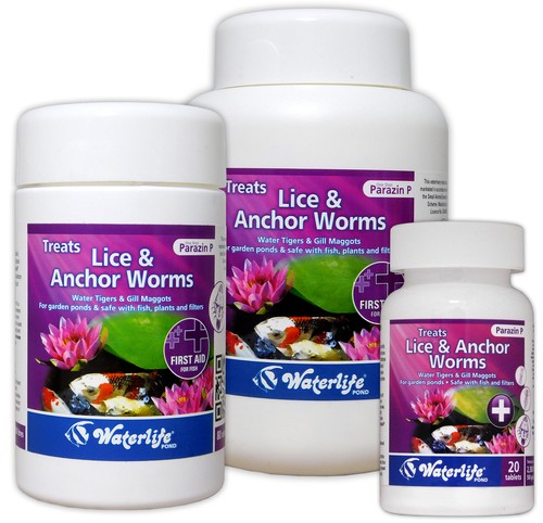 Waterlife Parazin P Fish Lice Worm 20,80,200 Tablets Tabs Garden Pond ...