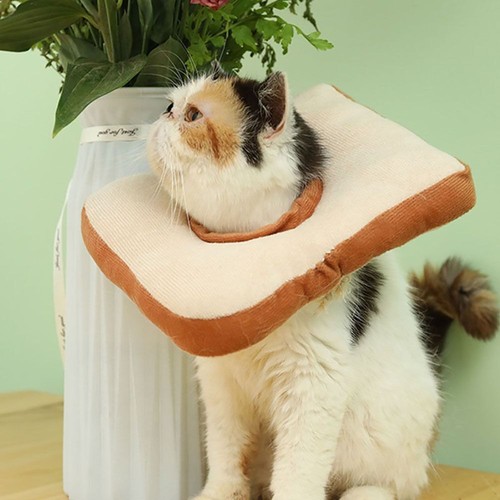 Inflatable E Collars Pet Recovery Cat Cone Collar Cone After Surgery | eBay