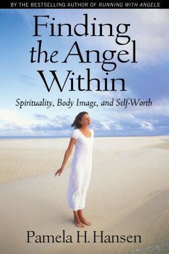 Finding the Angel Within - Paperback By Pam H Hansen - VERY GOOD ...