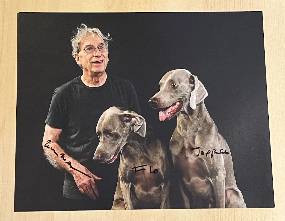 Famous Dog Photography