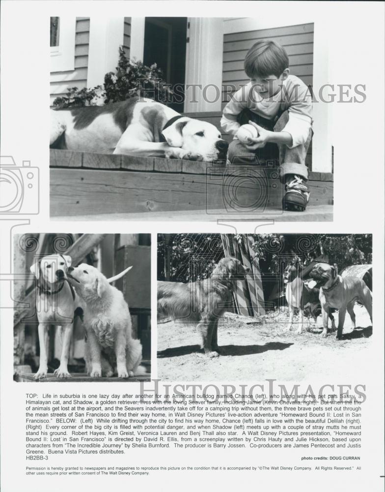 Kevin Chevalia Actor