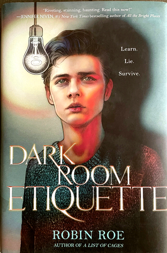 Dark Room Etiquette by Robin Roe (2022, Hardcover) 9780063051737| eBay