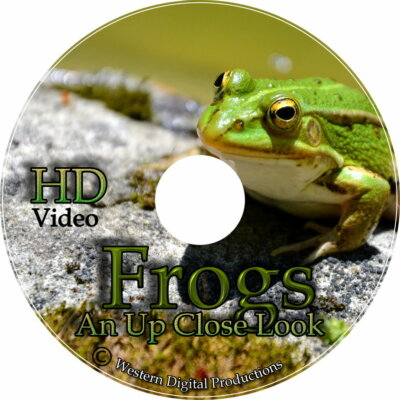 DVD Frogs Children Educational Fun Nature Kids Science Teaching Video ...