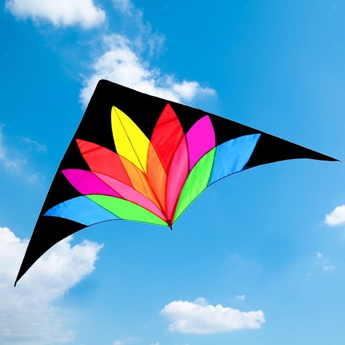 Large Delta Kite Easy to Fly Colorful Huge Kite for Birthday Gift Beach ...