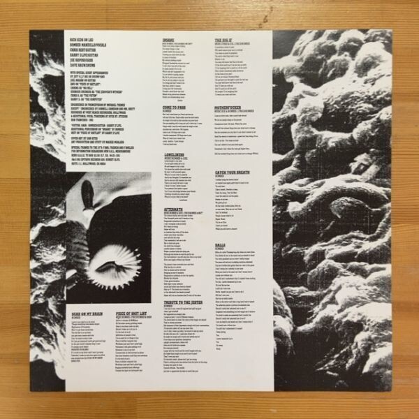 RKL / Reactivate 12" Vinyl 1993 US Original LP Epitaph 864231 RICH KIDS ...