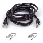 Belkin AP 25Ft Cat5E Black Patch Cord Rohs, A3L791-25-BLK (506168 ...