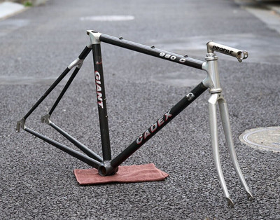 Bicycle Frames - Giant Cadex - Nelo's Cycles