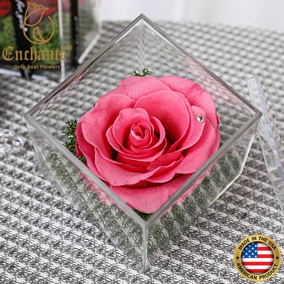 REAL Preserved Eternity Forever Rose Ring Box Proposal Valentine's Day ...