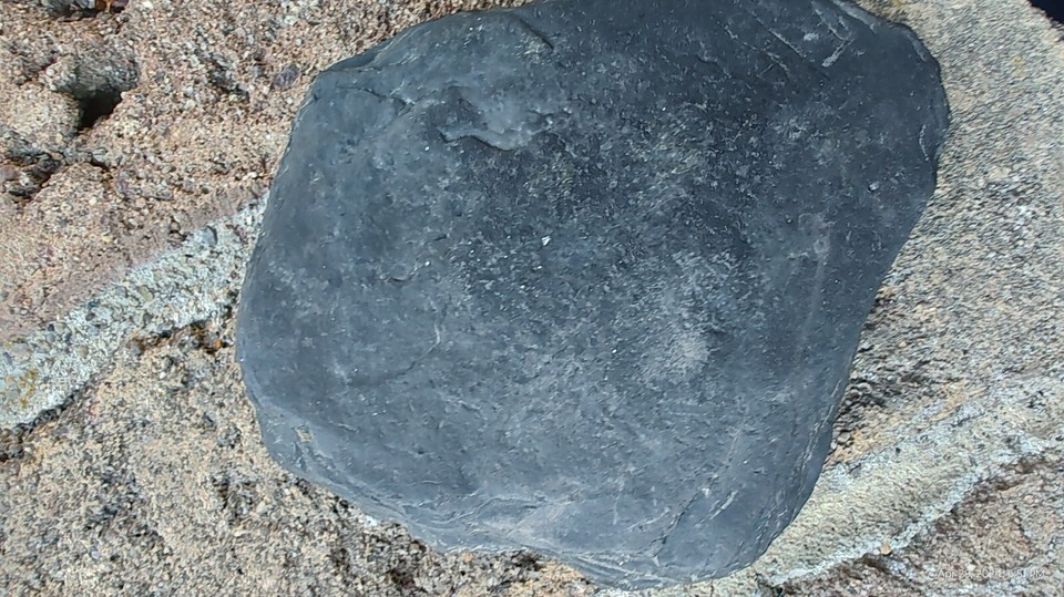Coal Shale Mineral Stone rock pebble Specimen 160 gram slate Black ...