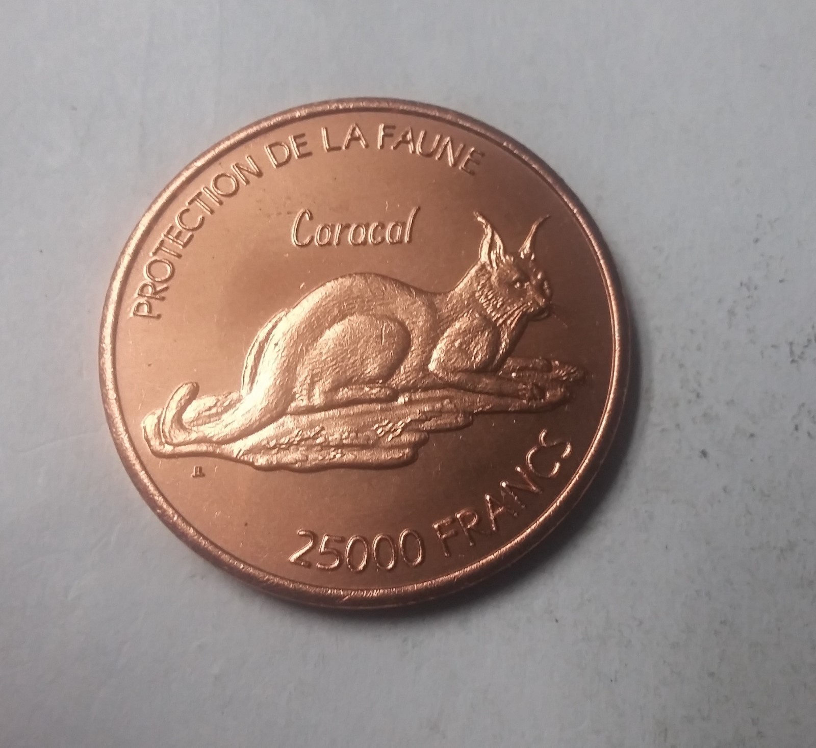Rare 2007 Niger copper 25000 fr essai pattern Caracal | eBay