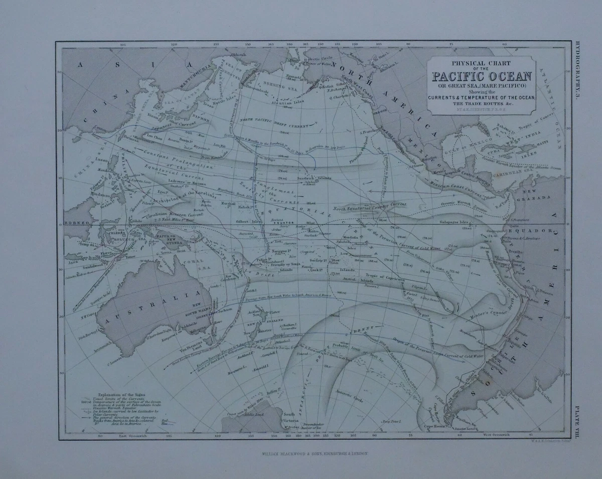 Pacific Ocean Currents Map