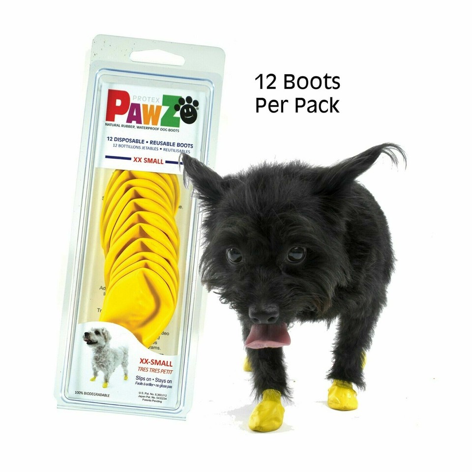 Pack of 12 Pawz Disposable Reusable Dog Boots Wound Recovery All ...