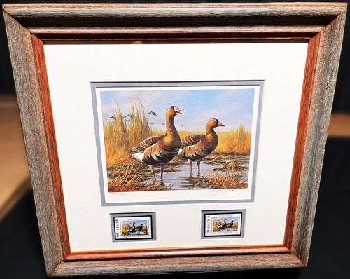 Gary Moss 1987 Texas Waterfowl Duck Stamp Print W Double Stamps Brand ...