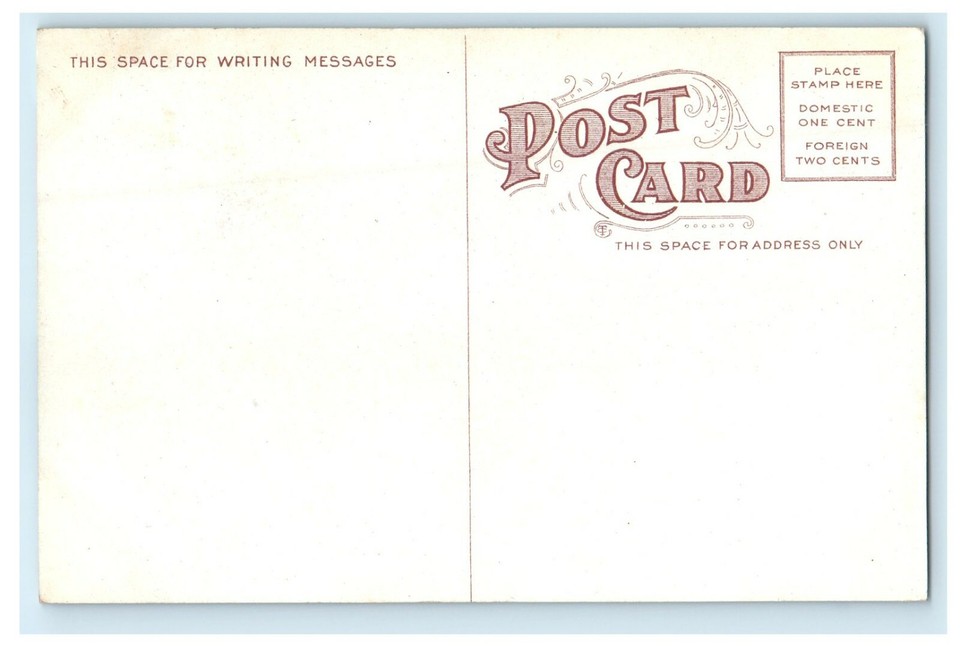 c1910's First Fifth Bridge Waterloo Iowa IA Unposted Antique Postcard ...