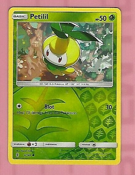 POKEMON PETILIL HOLOGRAM CARD FREE SHIPPING | eBay