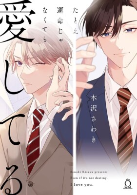 Even if it's not destiny I Love You Japanese Comic BL Manga From Japan ...