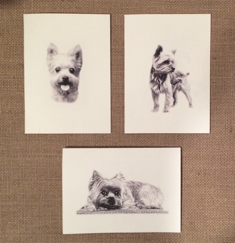 Set of 6 or 12 Handmade Blank Yorkshire Terrier Yorkie Print Note Cards ...