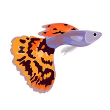 Duartefishfarm | eBay Stores