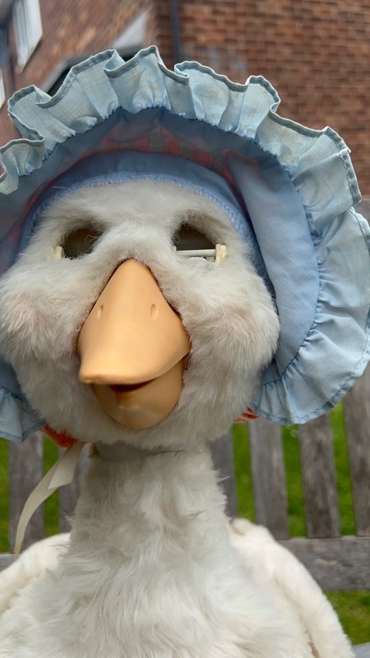 Mother Goose / Teddy Ruxpin World of Wonders | eBay UK