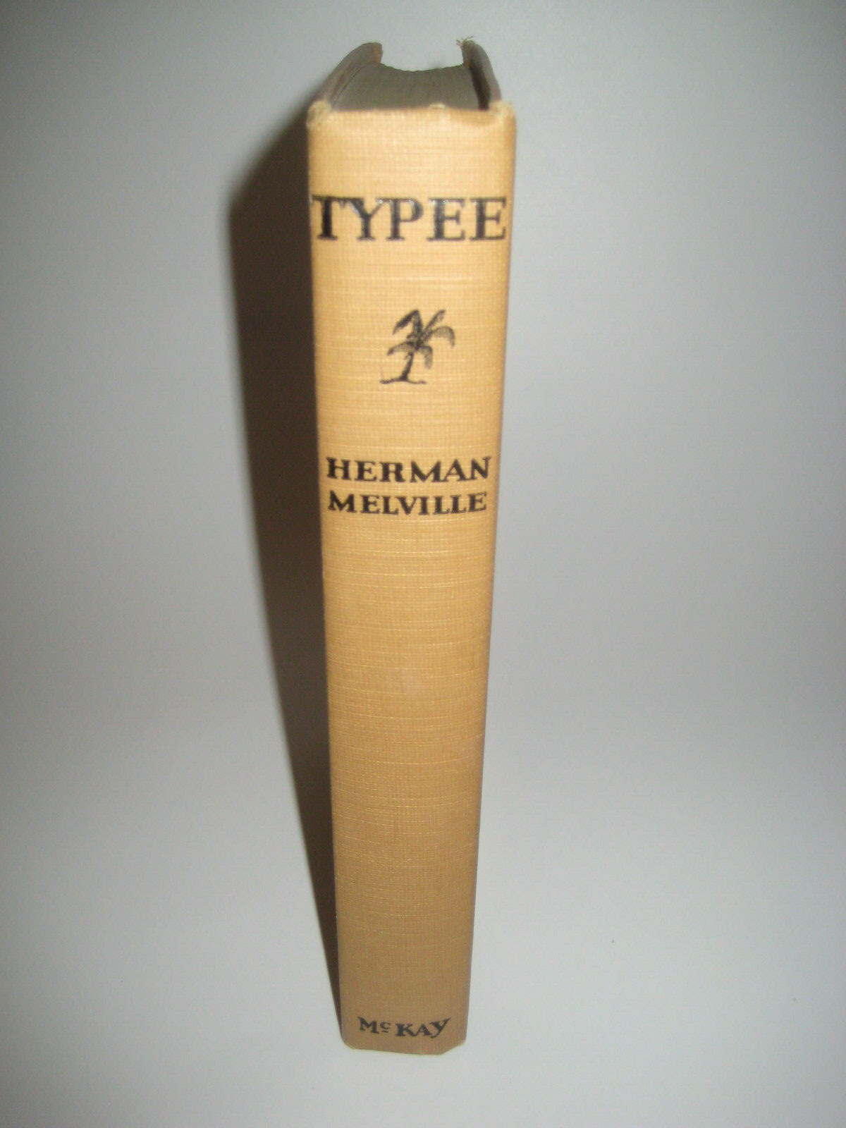 TYPEE Herman Melville Newbery Classics Edition Illustrated frontis ...