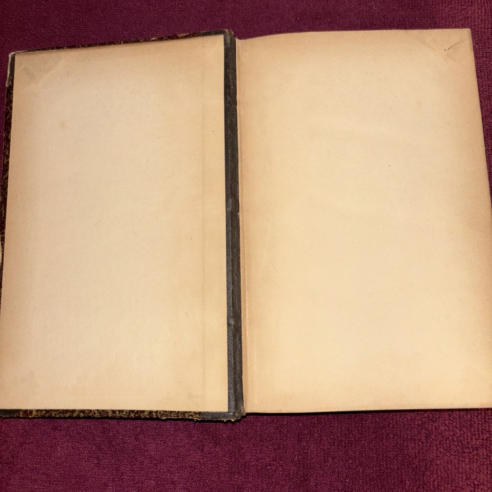Antique 1878 Book: Introduction in the Sacred Writing (Latin) Volume II ...