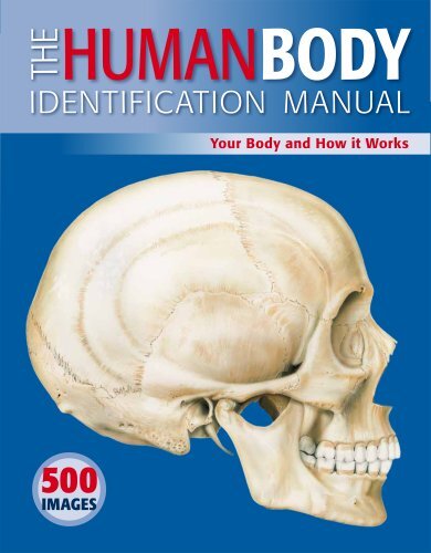 The Human Body Identification Manual: Your Body and How It Works | eBay