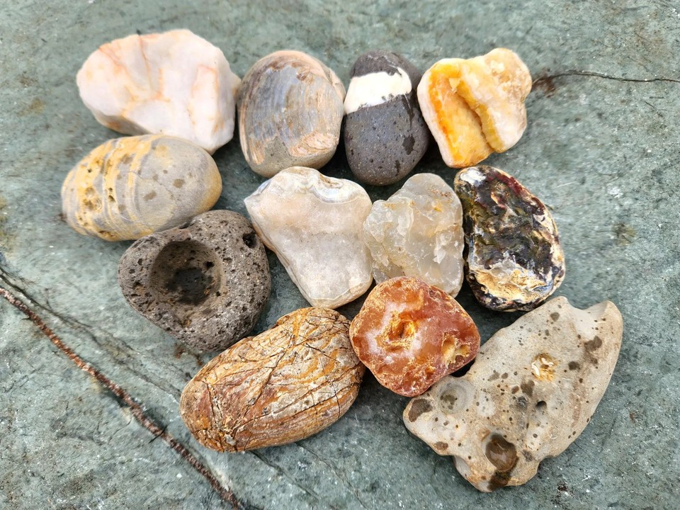 Lot of 12 Unique Oregon Coast Rocks / Agates / Fossil (4 lbs total) | eBay