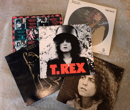 T. Rex Marc Bolan Vinyl LP The Slider-Electric Warrior-Tanx-MORE GREAT ...