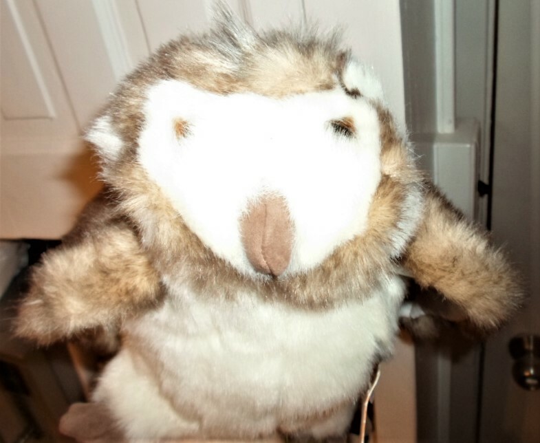 Barn Owl Hand Puppet by Folkmanis - 2261 for sale online | eBay