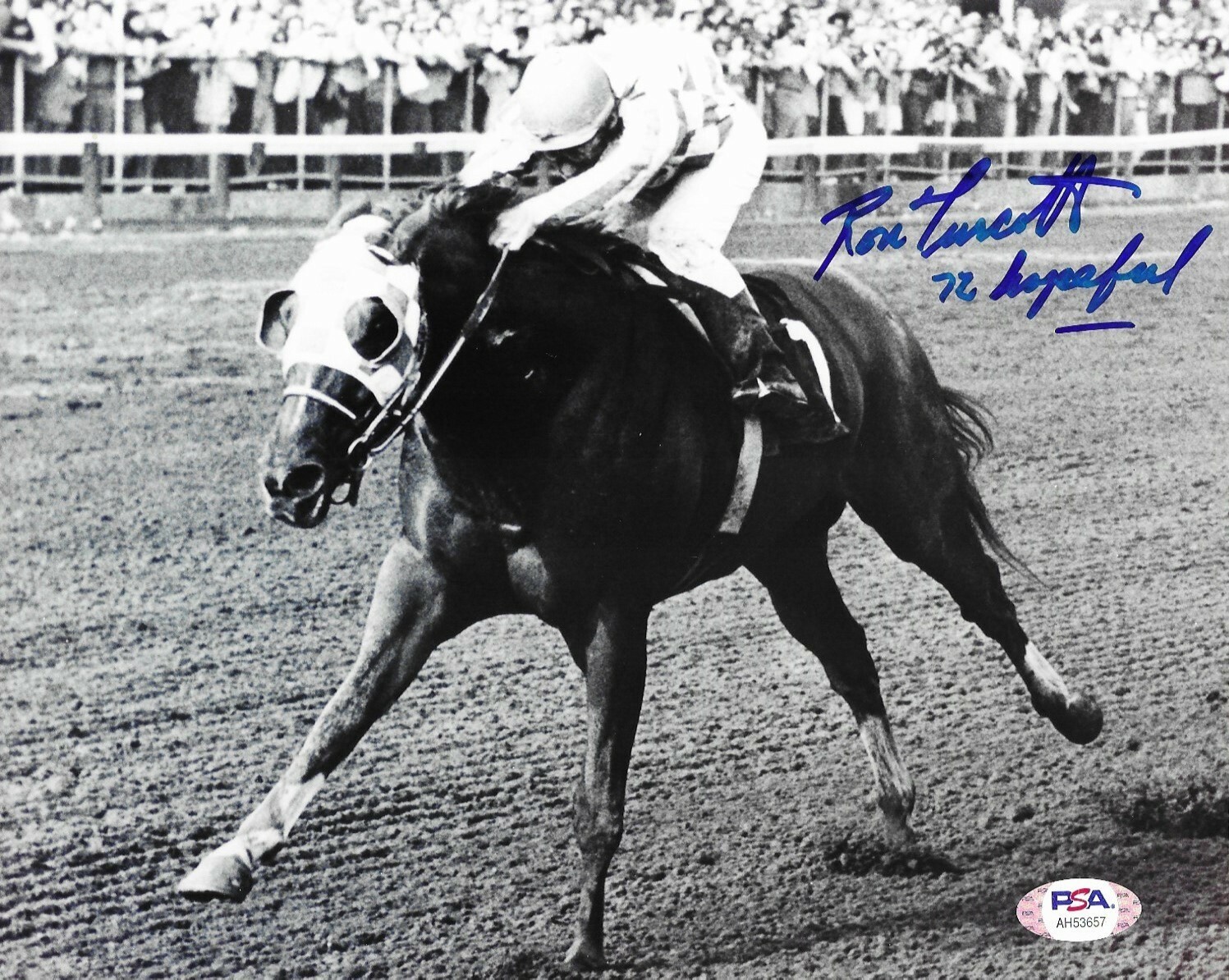 Secretariat Autographed Memorabilia | Signed Photo, Jersey ...