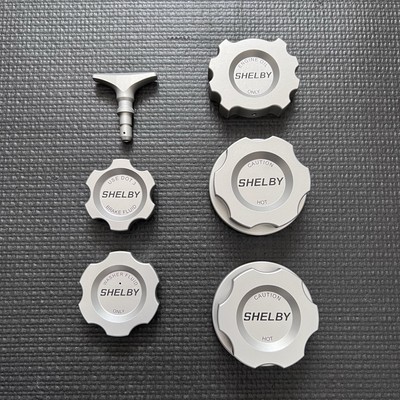 Rare Shelby Engine Cap Kit Ford Mustang Super Snake Cobra GT500 2007 ...