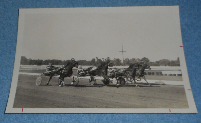 1970s Harness Racing Press Photo Horse "Nero" Joe O'Brien Unidentified ...