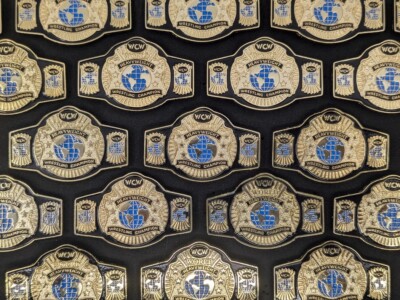 Wrestling Enamel Pin - 1992 Heavyweight Championship (WWE WCW STING ...