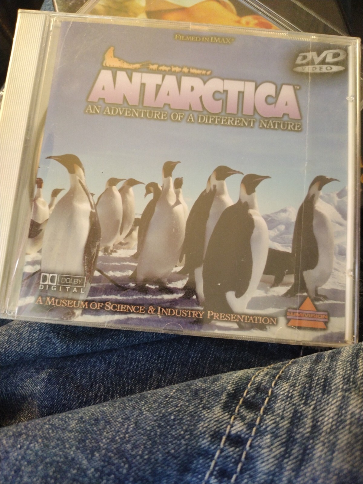 IMAX - Antarctica: An Adventure Of A Different Nature (DVD, 1997) for ...