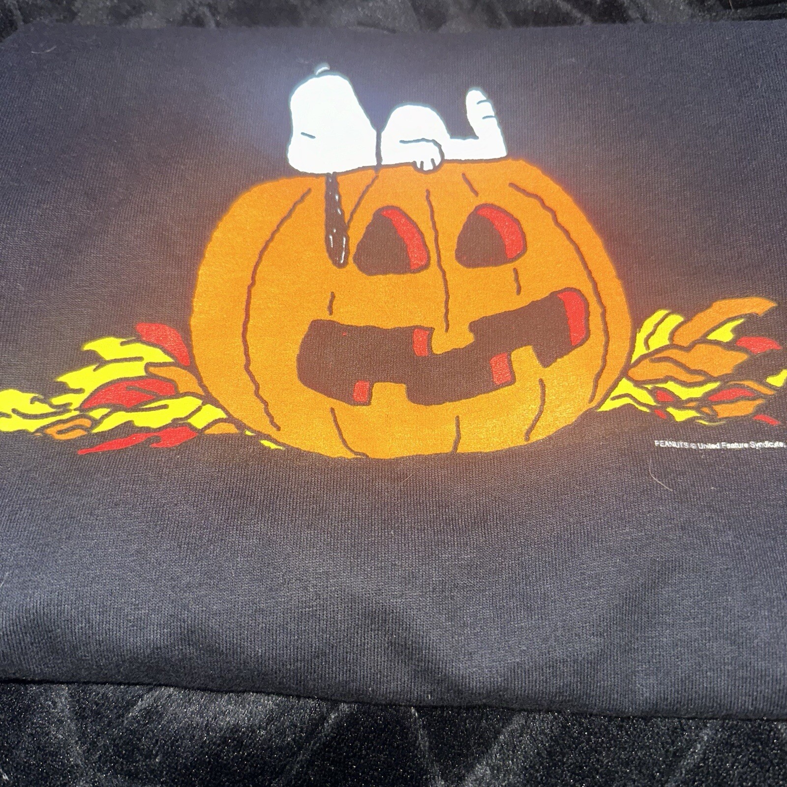 Peanuts Snoopy Shirt - Gem